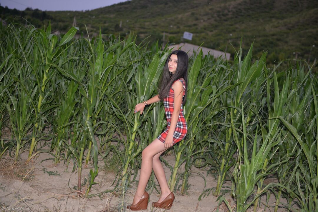 【DarlingCute】Navidad